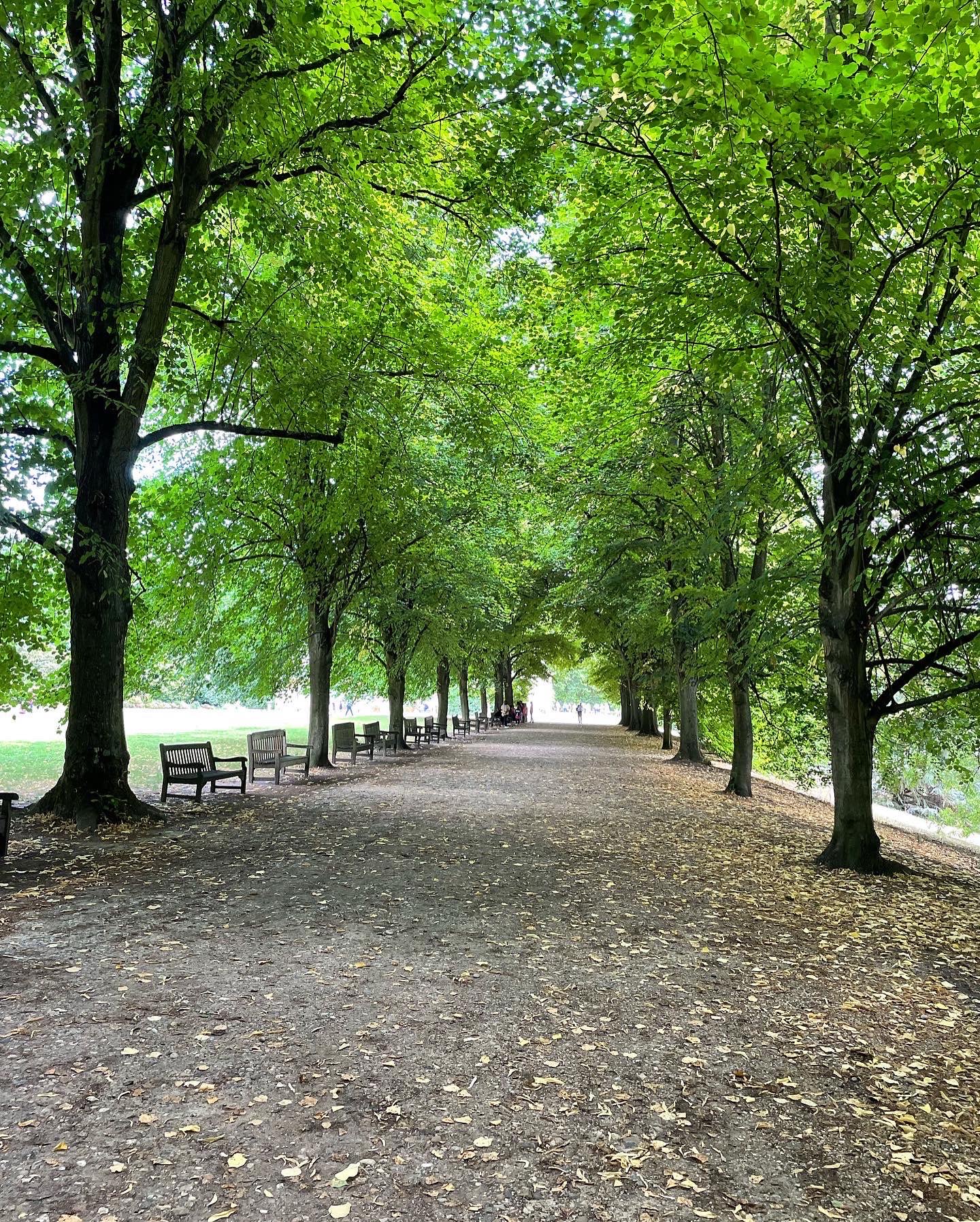 My Grief Journey - The Josh Hanson Trust